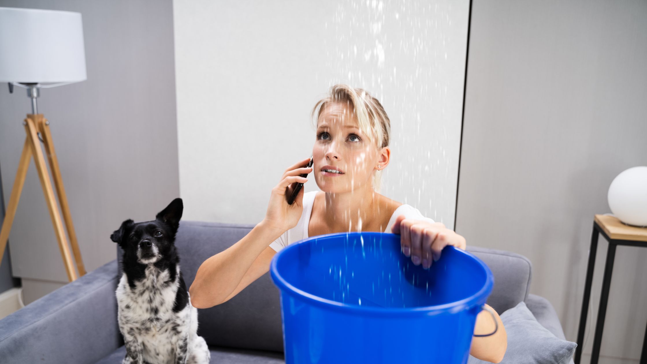 Ceiling Leak? How to find it and what to do about it!